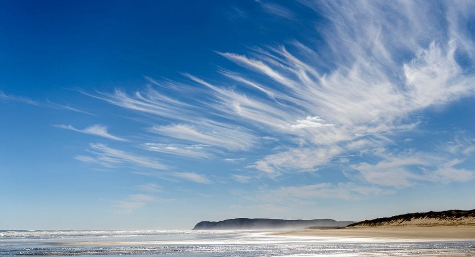 Must See + Do around Kaitaia, Far North, New Zealand