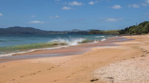 Must See + Do around Kaitaia, Far North, New Zealand