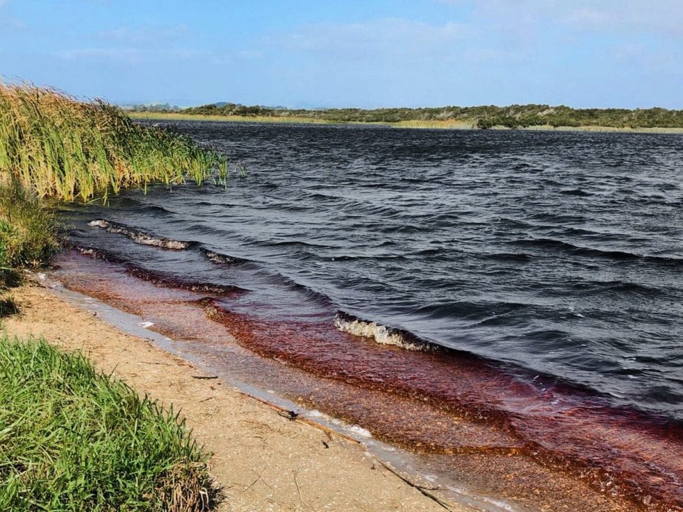 Must See + Do around Kaitaia, Far North, New Zealand