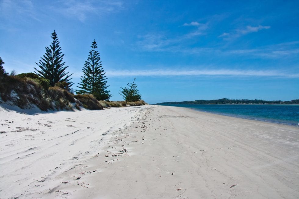 Must See + Do around Kaitaia, Far North, New Zealand