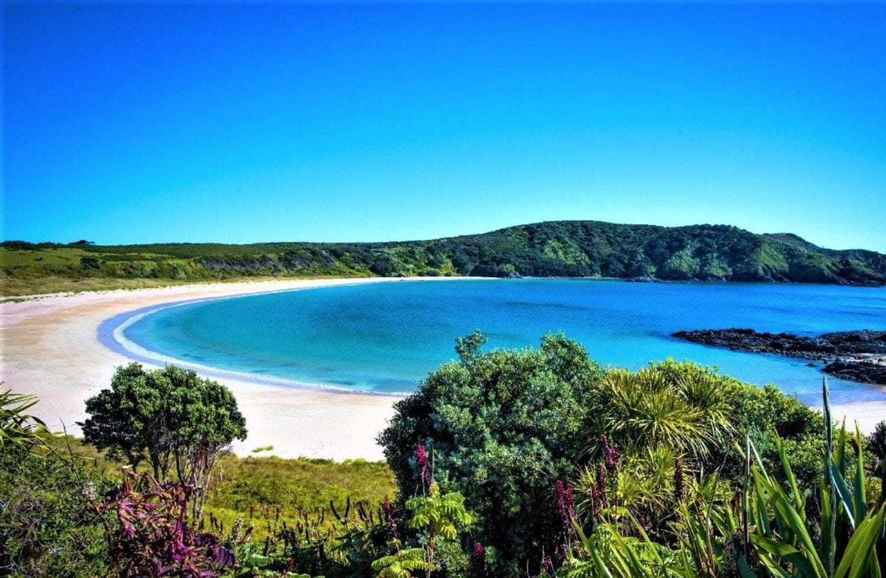 Must See + Do around Kaitaia, Far North, New Zealand
