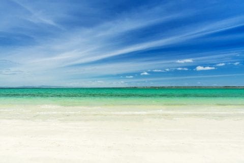 Must See + Do around Kaitaia, Far North, New Zealand