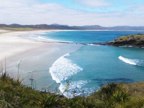 Must See + Do around Kaitaia, Far North, New Zealand