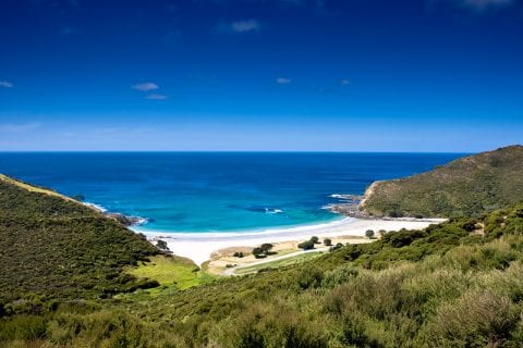 Must See + Do around Kaitaia, Far North, New Zealand