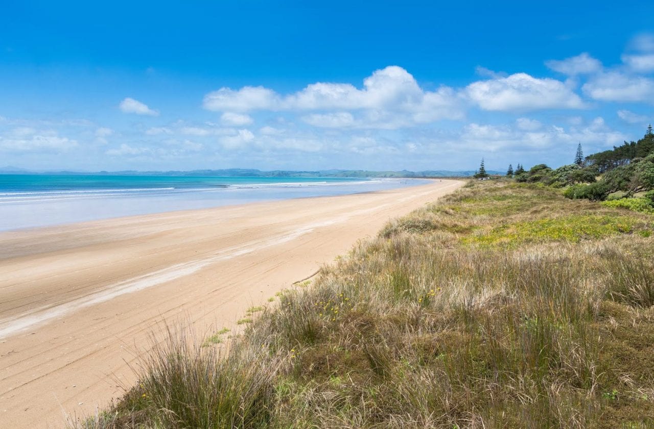 Must See + Do around Kaitaia, Far North, New Zealand