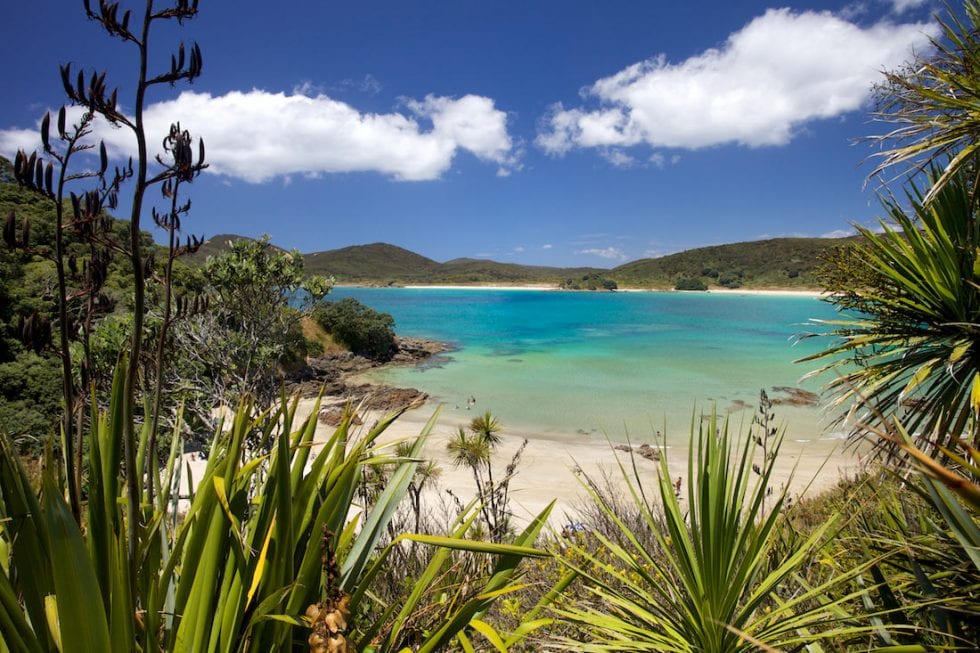 Must See + Do around Kaitaia, Far North, New Zealand